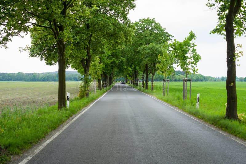 Asphalt Road Going into the Distance Stock Photo - Image of journey ...