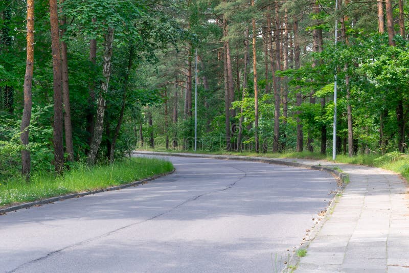 Asphalt Road through the Green Forest Stock Image - Image of tropical ...