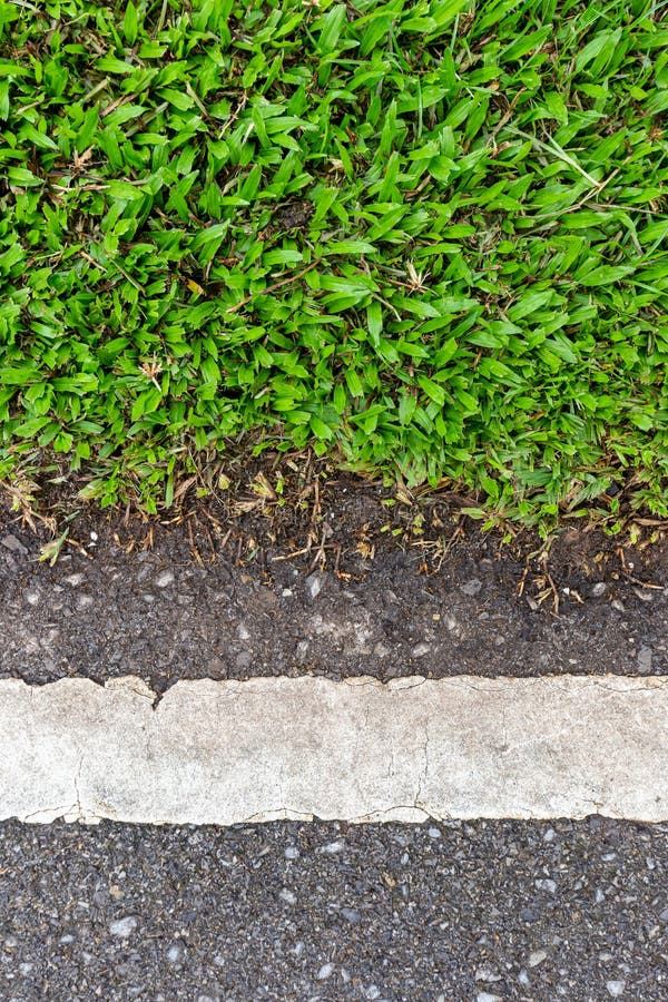 Asphalt Road with Green Grass and White Line, Top View Stock Image ...