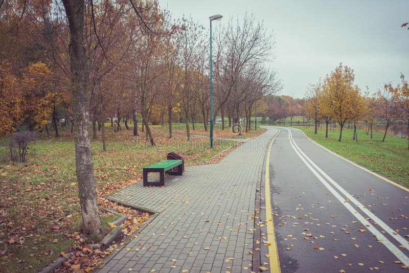 Asphalt Road through the Park for Outdoor Activities. Stock Image ...