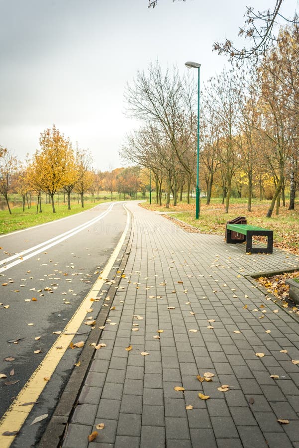 Asphalt Road through the Park for Outdoor Activities. Stock Image ...