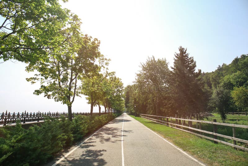 Asphalt Road in Park on Sunny Day Stock Photo - Image of drive, idyllic ...