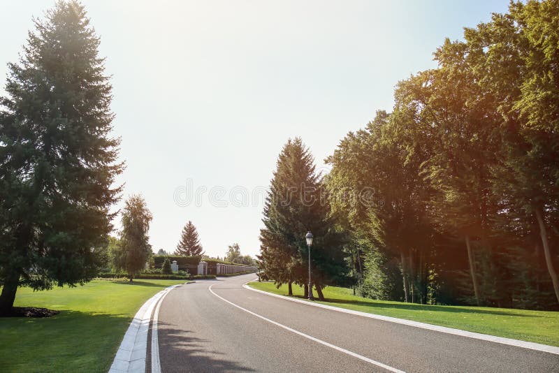 Asphalt Road in Park on Sunny Day Stock Image - Image of asphalt ...