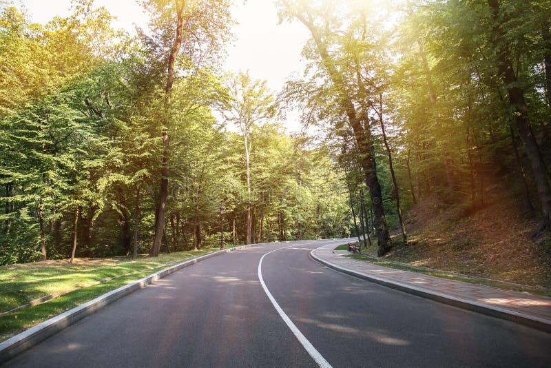 Asphalt Road in Park on Sunny Day Stock Photo - Image of summer ...