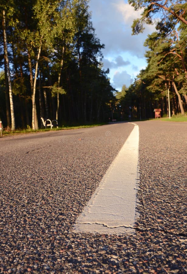 Asphalt Road in the Resort Forest Stock Photo - Image of grunge ...