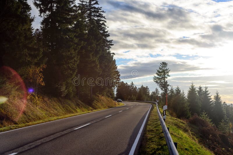 Asphalt Road Running Along the Slope Overgrown with Coniferous Forest ...