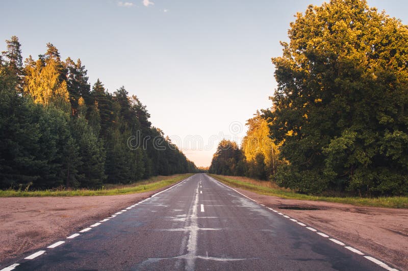 The Asphalt Road that Runs through the Trees Goes into the Distance ...