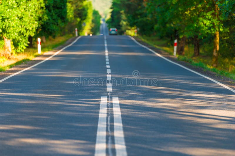 Asphalt Road in the Shade of a Tree Stock Image - Image of nature ...