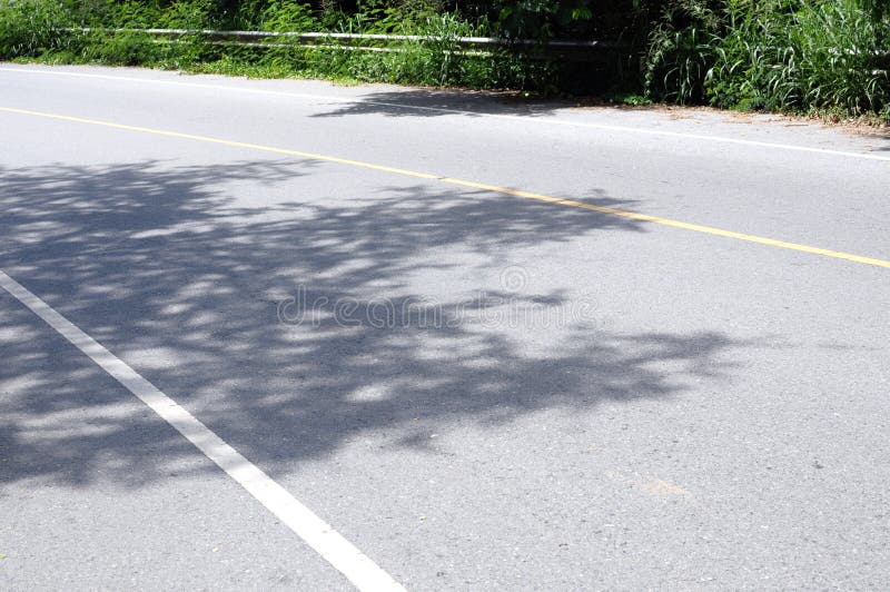 Asphalt Road and Shadow of Trees Stock Photo - Image of asphalt, trees ...