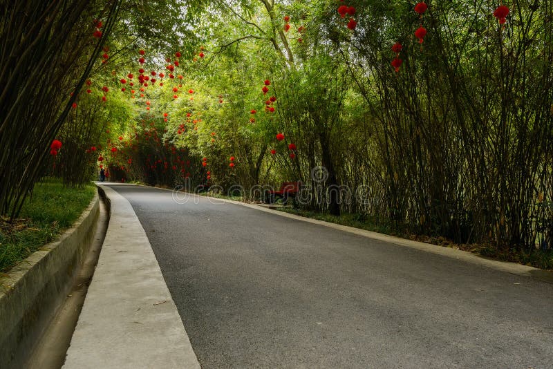 Asphalt Road in Shady Bamboo on Sunny Spring Day Stock Image - Image of ...