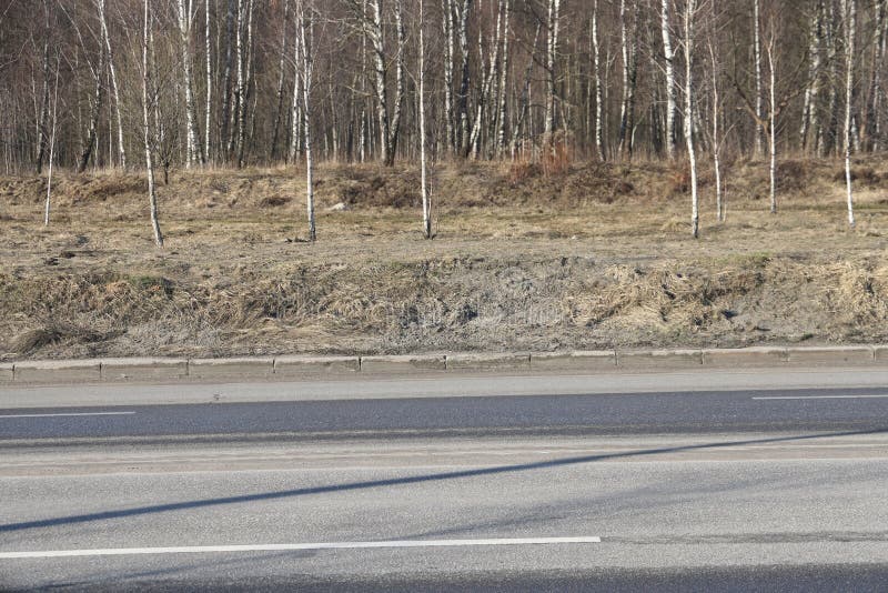 Asphalt Road in the Spring Forest in the Early Spring on a Sunny Day ...