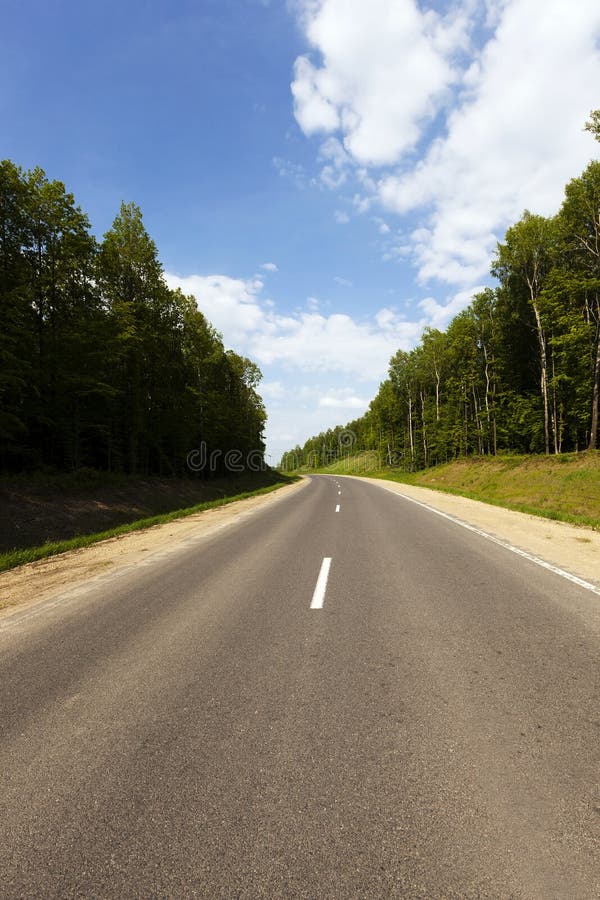 Asphalt road . spring stock image. Image of forest, perspective - 61158253