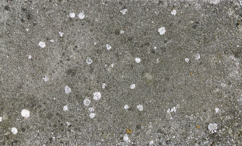 Asphalt, Road Surface, Texture, Soil Picture. Image: 115877939