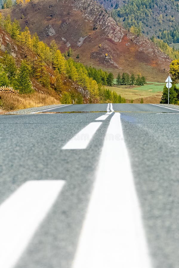 Asphalt Road To the Mountains. Mountain Track on Altai Stock Photo ...