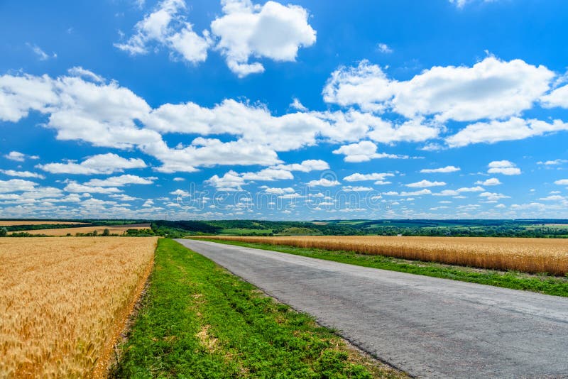 Asphalt Road between Two Fields of the Ripe Wheat Stock Image - Image ...