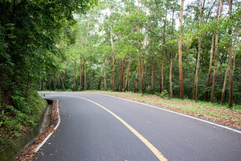 Asphalt Road Up To the Hill Stock Image - Image of forest, road: 209470885