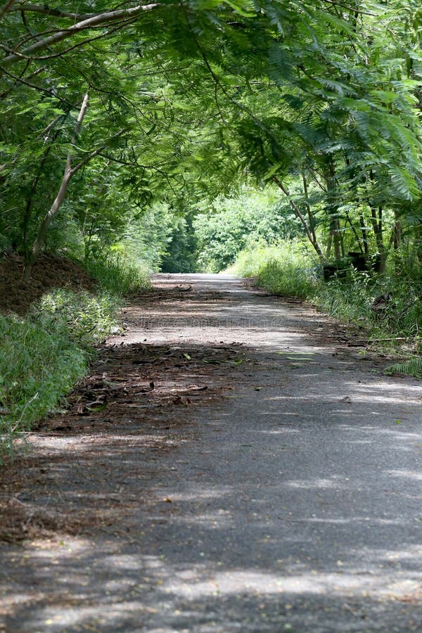 Asphalt Road of Walkway in the Garden. Stock Photo - Image of outdoor ...