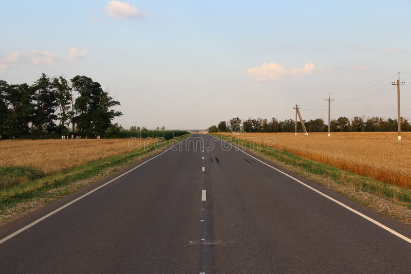 Asphalt Road through Wheat Fields in the Evening Stock Image - Image of ...