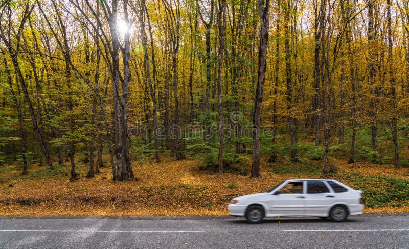 Asphalt Road through Yellow Autumn Forest. Car in Motion Stock Image ...