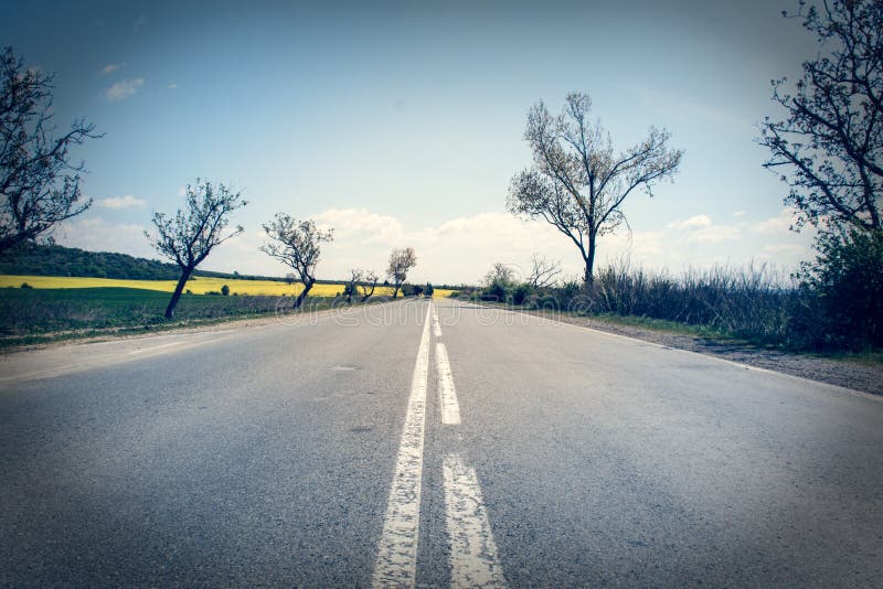 Asphalt Rural Road with Trees and Beautiful Sky Stock Image - Image of ...