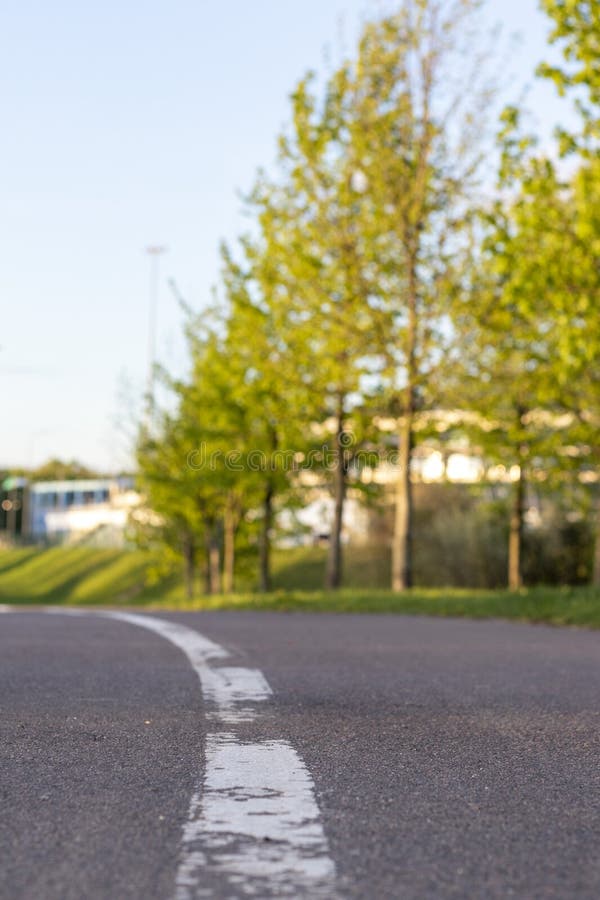 Asphalt Surface with Painted Dividing Lane. Texture Stock Illustration ...