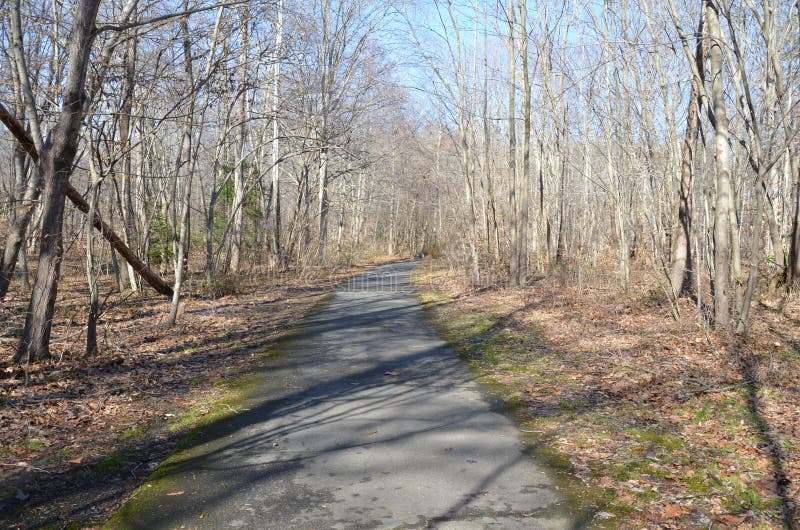 Asphalt Trail or Path in Forest or Woods Stock Image - Image of tree ...