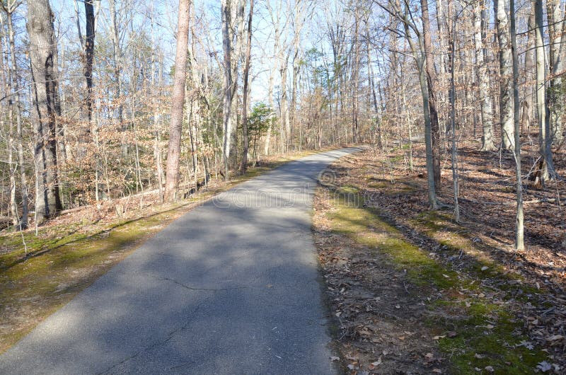 Asphalt Trail or Path in Forest or Woods Stock Image - Image of ...