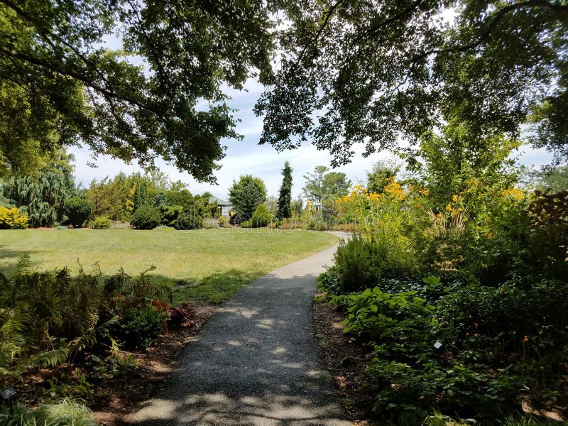 Asphalt Trail in the Shade and Trees and Flowers Stock Photo - Image of ...