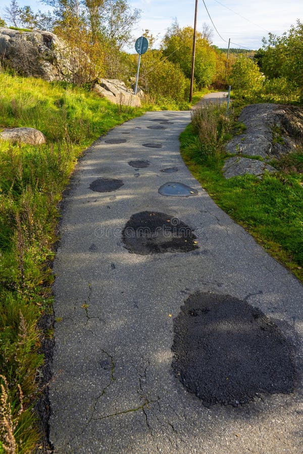 Asphalt Walking Path with Patches in Green Nature.. Stock Photo - Image ...