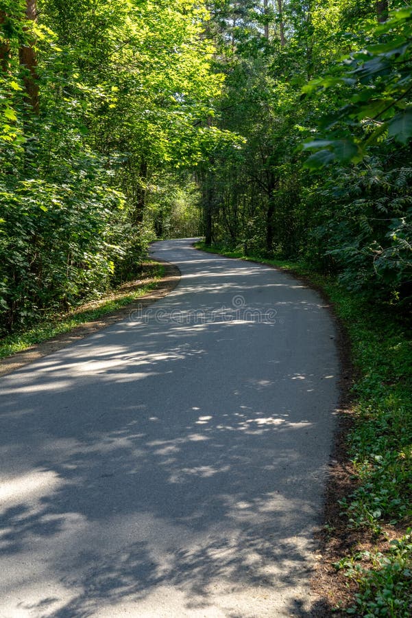 Asphalt Wavy Road in Forest in Summer - Vintage Retro Film Look Stock ...