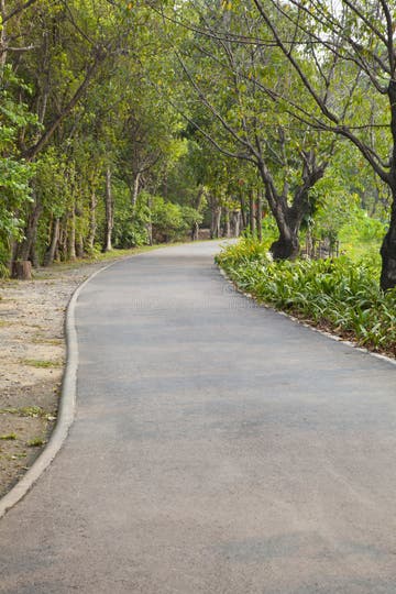 167,405 Perspective Park Stock Photos - Free & Royalty-Free Stock ...