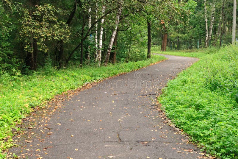 Asphalt Winding Path in the Russian Forest Stock Image - Image of path ...