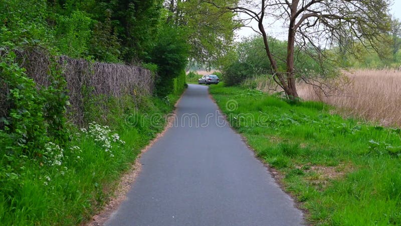An Asphalted Narrow Path through a Park is Used on Inliners Stock Video ...
