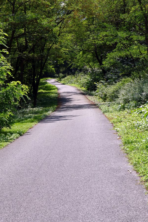 Asphalted path stock image. Image of downhill, cycle - 79006317
