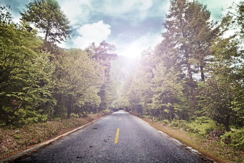 Asphalted road (spring) stock image. Image of cloudscape - 68410293