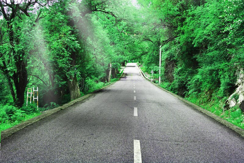 Asphalted road stock image. Image of green, away, drive - 68410309