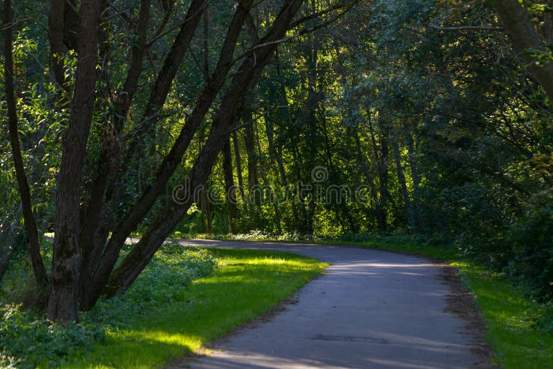 Asphalted Walking Path for Pedestrian Tourists Surrounded by Green ...