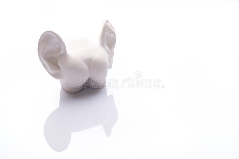 With ears white isolated stock image. Image of type - 119509631