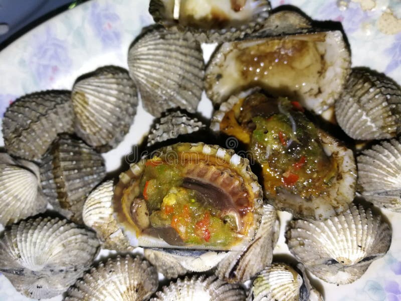 Assado do marisco na praia foto de stock. Imagem de marisco - 105172464