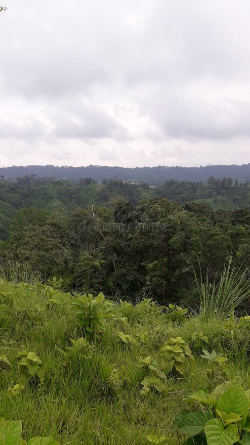 Assam mizoram border stock photo. Image of rock, reflection - 248384924