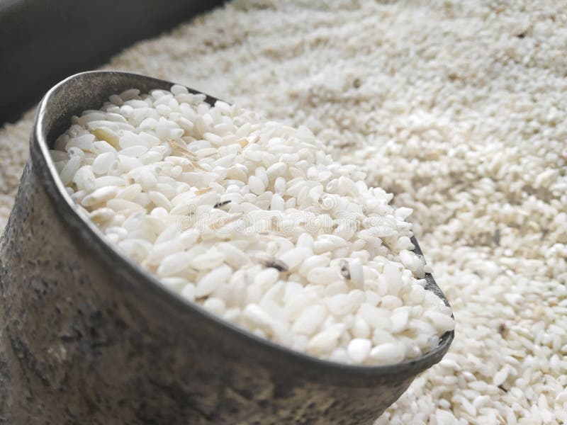 Assamese Rice in a Mug , Assam . Stock Image - Image of plant, meal ...