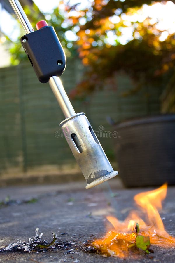 Assassino di Weed fotografia stock. Immagine di erbacce - 19761450