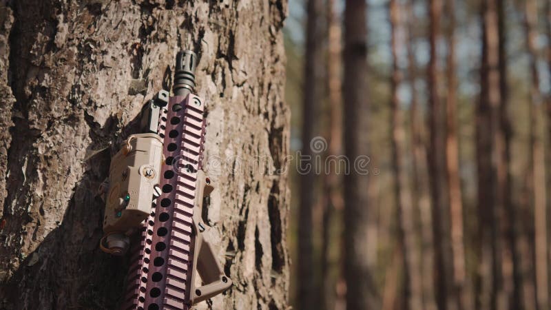 Assault Rifle Placed Next To a Tree in the Forest Stock Video - Video ...