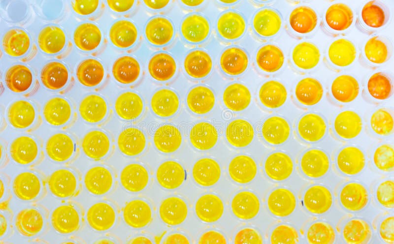 Assay Plate 96 Well with Colourful Buffer Stock Photo - Image of number ...