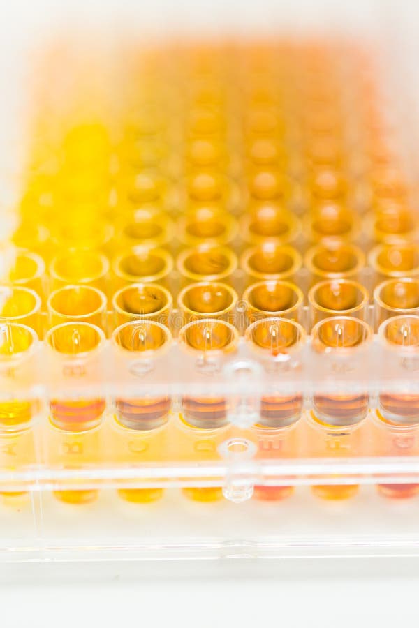 Assay Plate 96 Well with Colourful Buffer Stock Photo - Image of ...