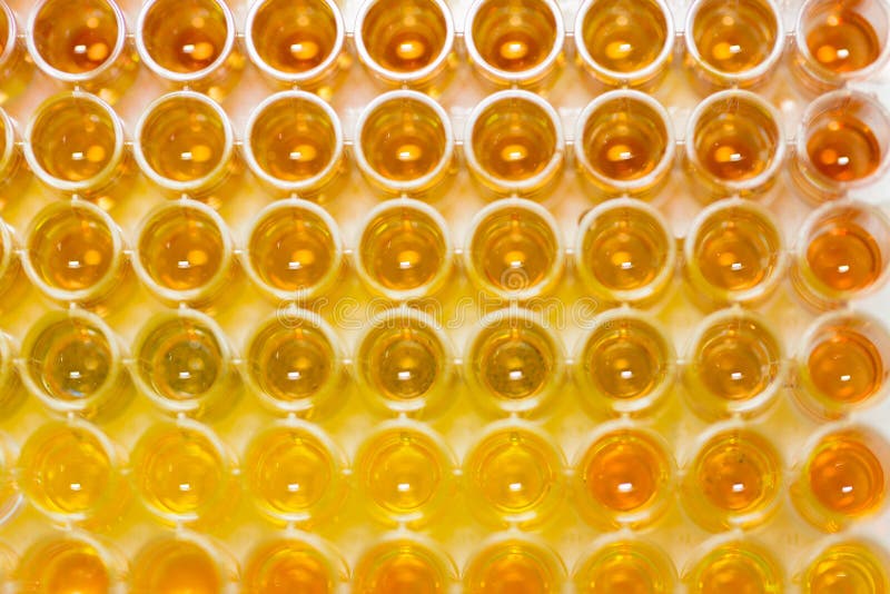 Assay Plate 96 Well with Colourful Buffer Stock Photo - Image of format ...