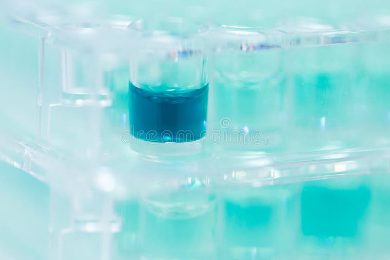 Assay Plate 96 Well with Colourful Buffer Stock Image - Image of ...