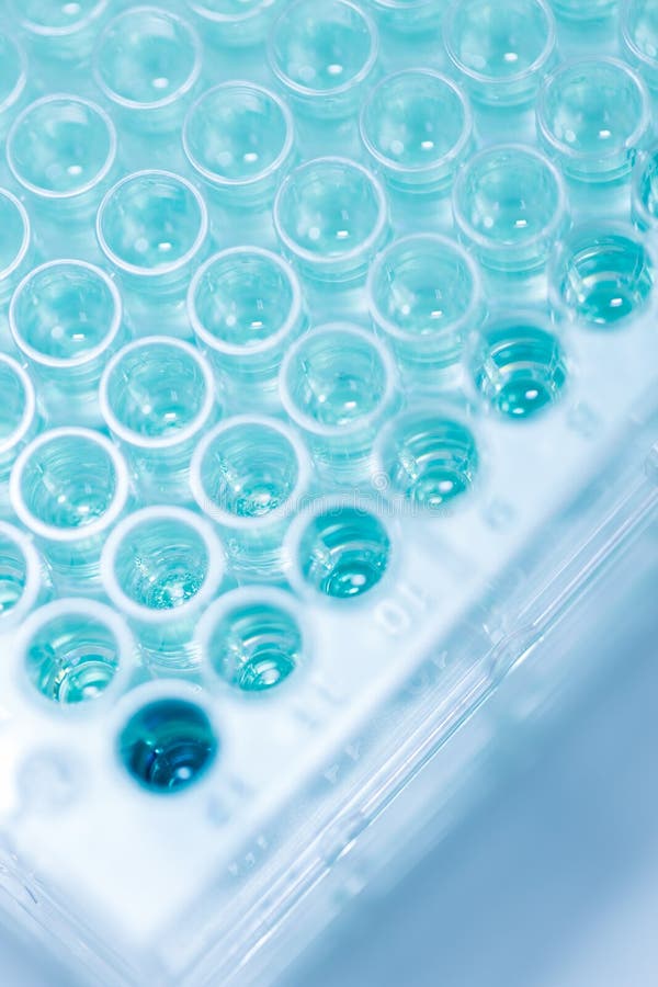 Assay Plate 96 Well with Colourful Buffer Stock Photo - Image of ...