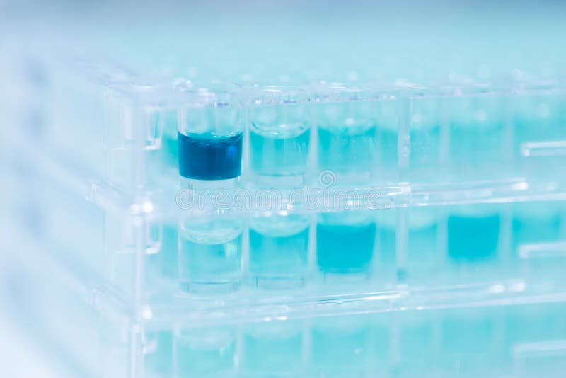 Assay Plate 96 Well with Colourful Buffer Stock Photo - Image of blue ...