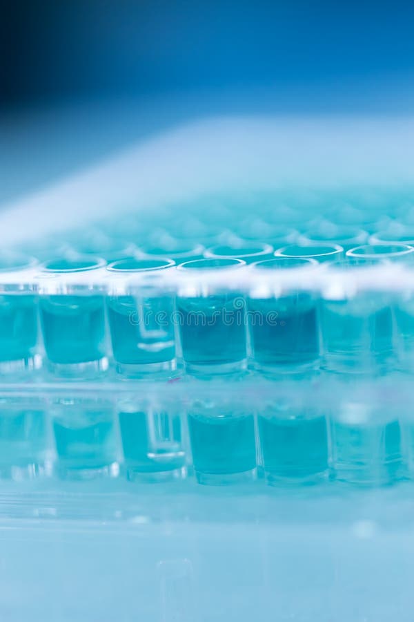 Assay Plate 96 Well with Colourful Buffer Stock Image - Image of ...